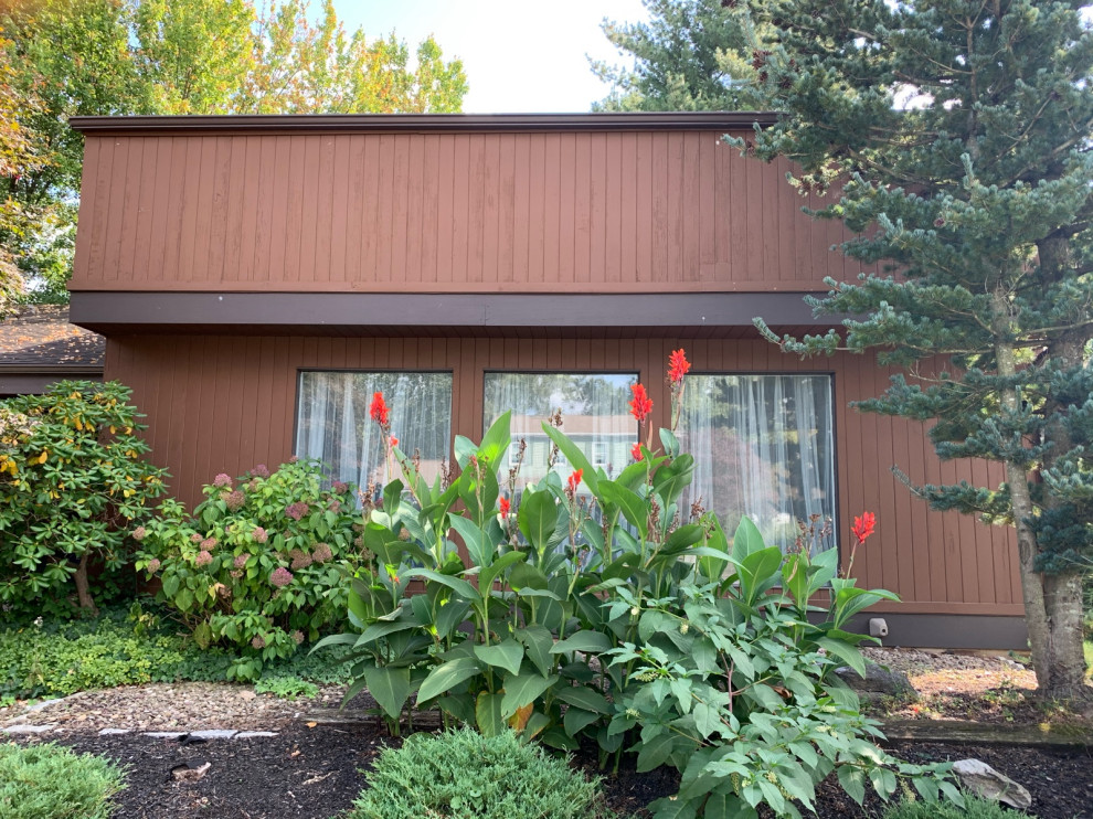 HELP! residing 70s shed style contemporary