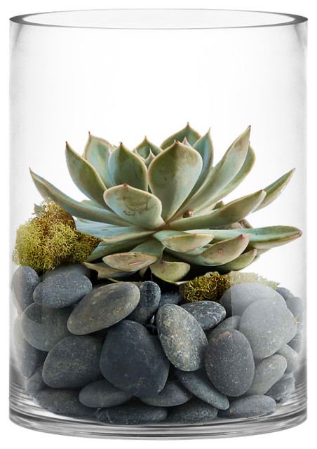 Glass Cylinder Vases with 6 inches Diameter Hand Blown Wedding ...