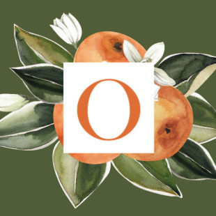 ORANGEPORT LANDSCAPE - Project Photos & Reviews - Vista, CA US | Houzz