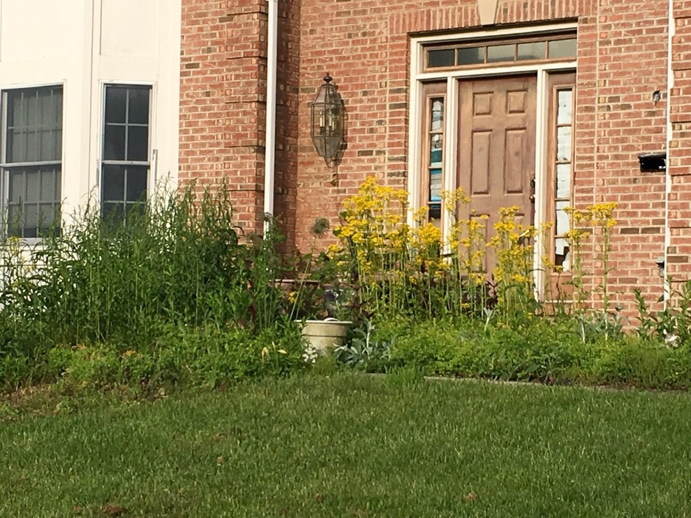 The Polite House: How to Handle Fences and Neighbors