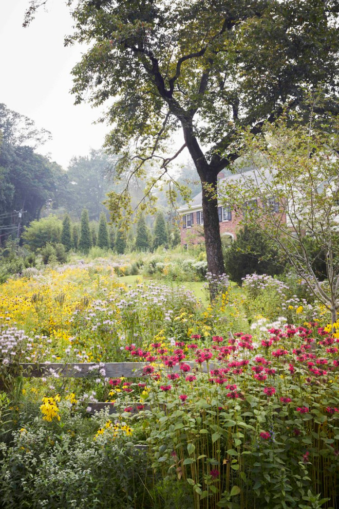 Bryn Mawr, PA - Native Meadow Design/Install - Craftsman - Landscape ...