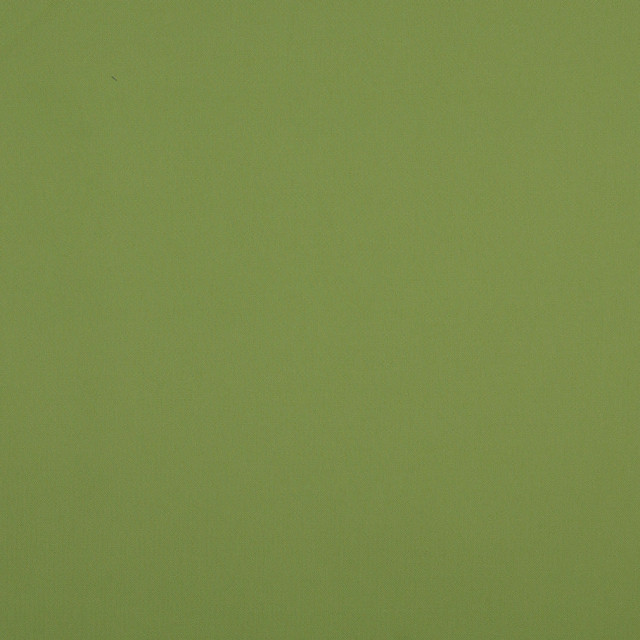 Green Performance Canvas Upholstery Fabric by the Yard, By The Yard 54 ...