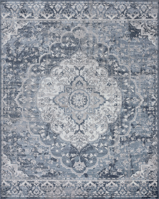 Harris Traditional Medallion Area Rug, 8' x 10' - Traditional - Area ...