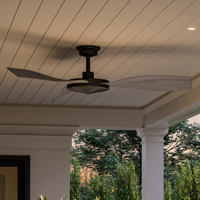 Luxury Modern Ceiling Fan, Olde Bronze - Transitional - Ceiling Fans ...