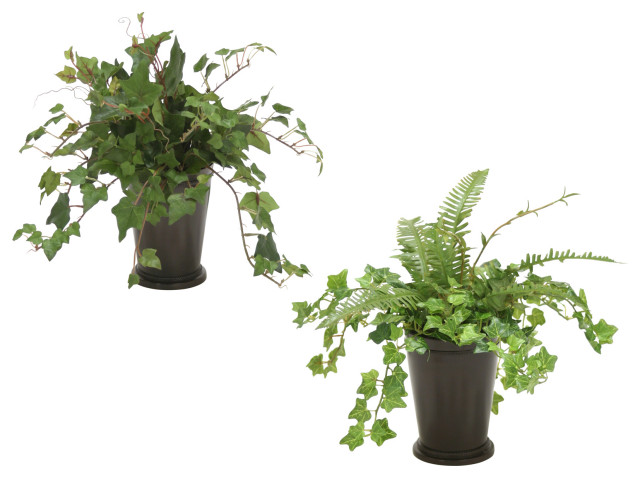 Mini Ivy And Mountain Ivy Assortment In Bronze Mint Julep Pot (Set Of 4 ...