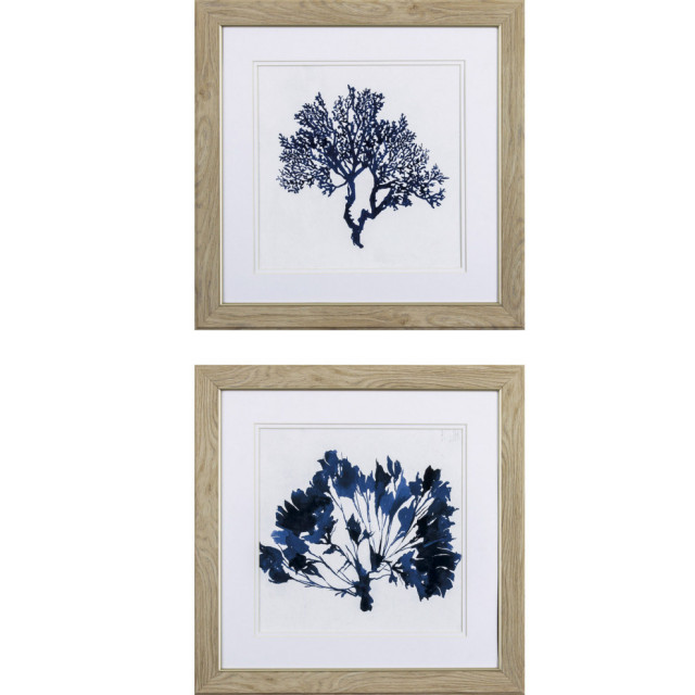 Indigo Coral B Wall Art, 2-Piece Set - Beach Style - Prints And Posters ...