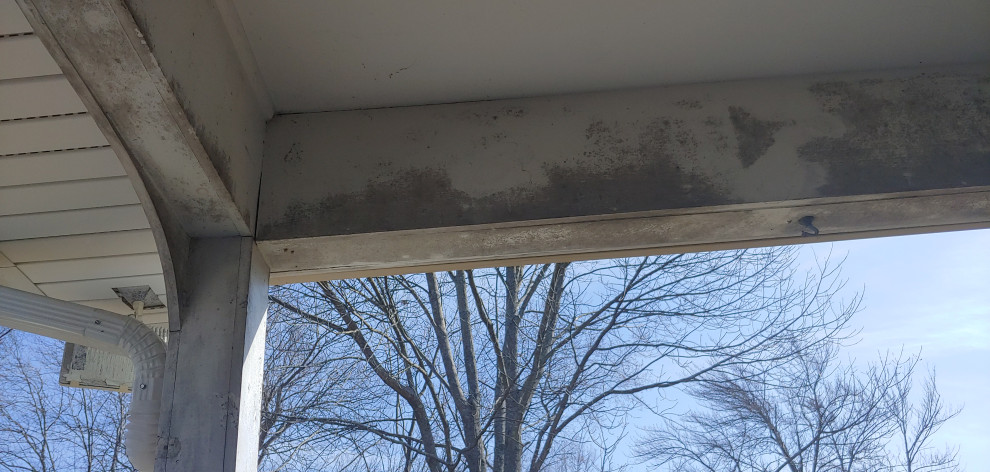 Zinser Peel stop paint