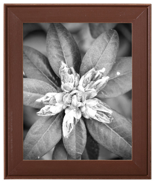 Academic Honors 1.25" Thick Wood Frame, 8"x10" - Transitional - Picture ...