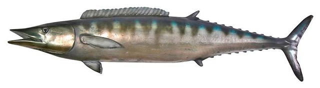 "Wahoo" Fish Wall Mount Trophy Sculpture - Beach Style - Wall ...