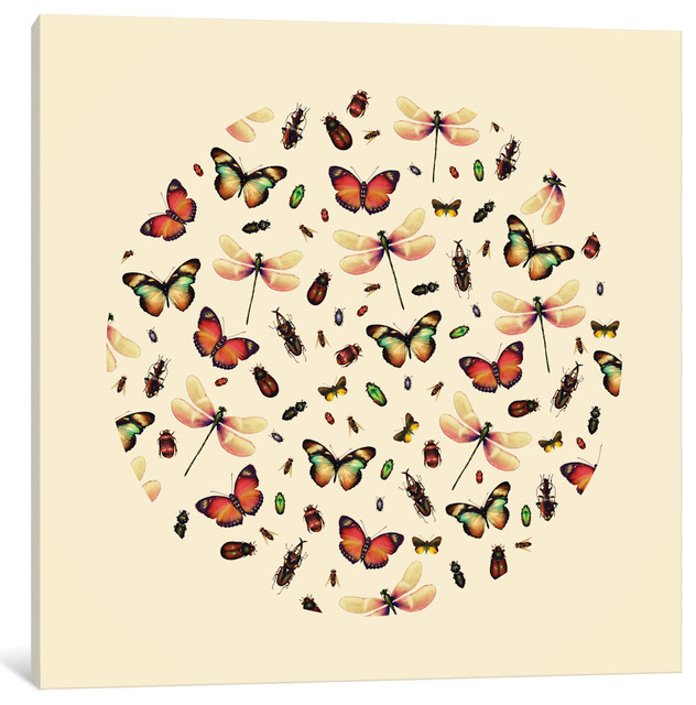 "Insecta" by Victor Vercesi, Canvas Print, 12x12x1.5" - Contemporary ...