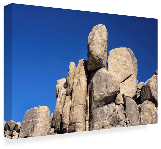 Janice Sullivan 'Joshua Rocks' Canvas Art, 47"x30" - Southwestern ...