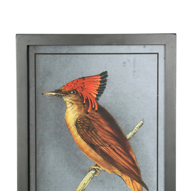 Rectangular Wooden Wall Art with Cardinal Birds, Assortment of 4, Gray ...