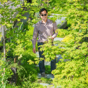 EVAN C. LAI LANDSCAPE DESIGN, INC. - Project Photos & Reviews - New ...