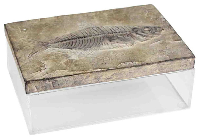 Eccentric Fish Fossil Polyresin With Acrylic Box, Brown - Beach Style ...
