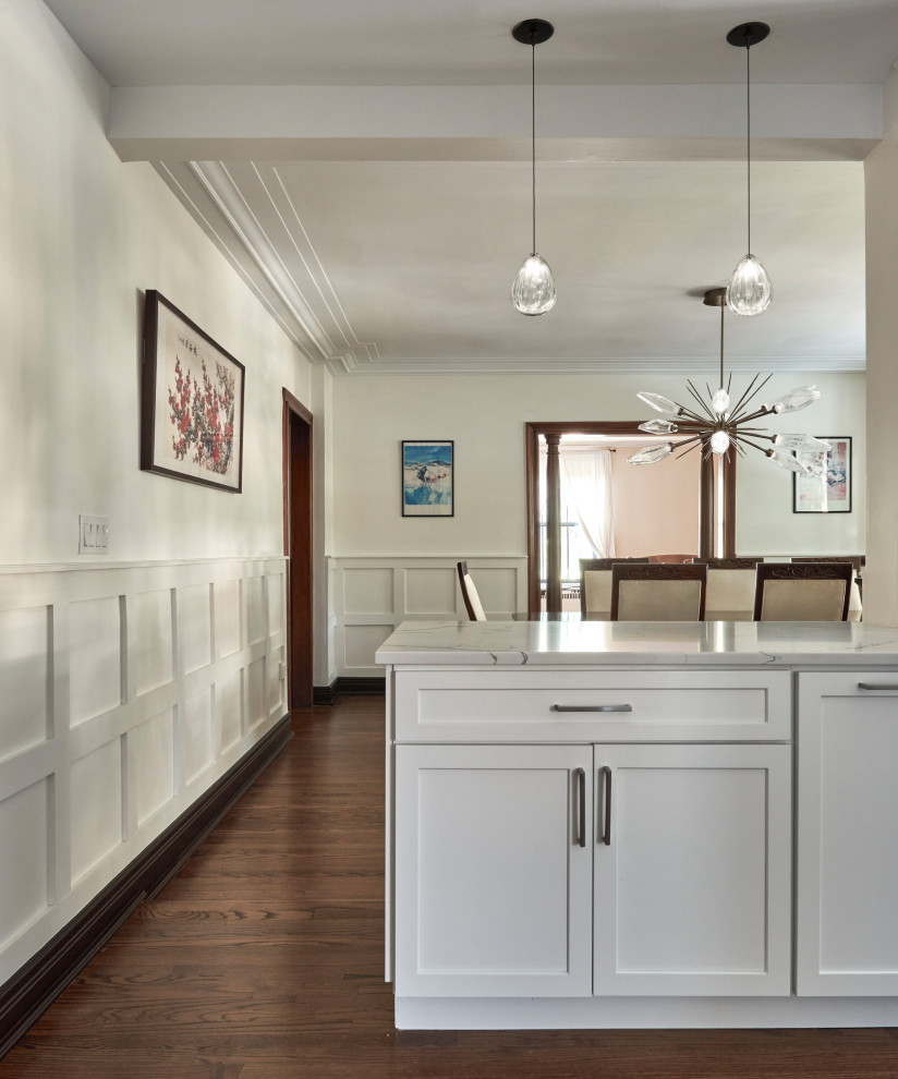 Transitional White Kitchen in East Hyde Park (Chicago, IL ...
