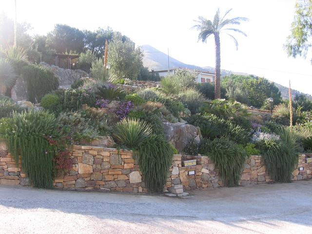 Foto con piante di rosmarino strisciante - Mediterraneo - Giardino - Catania-Palermo - di ...