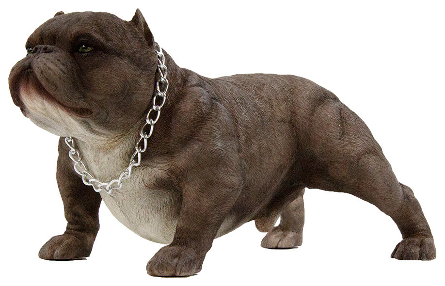 American Bully Exotic Statue 1:4 - Contemporary - Decorative Objects ...