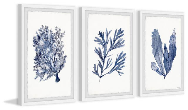 Seaweed Under Water V Triptych, 24"x12" - Beach Style - Wall Accents - by Marmont Hill | Houzz