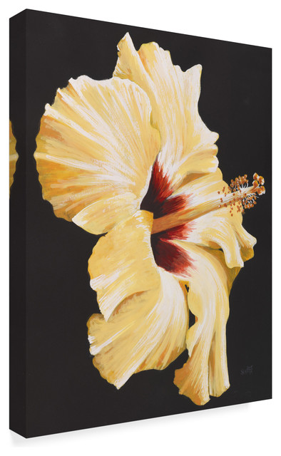 "Sunny" by Barbara Keith, Canvas Art, 24"x18" - Tropical - Prints And ...