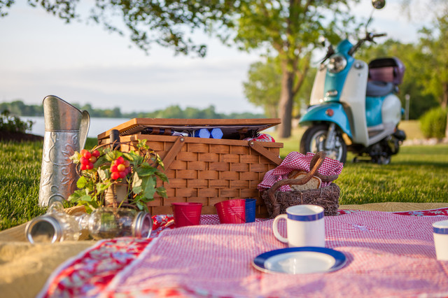 Lifestyle: Your Essential Checklist for the Perfect Summer Picnic ...
