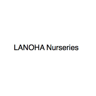 LANOHA NURSERIES - Project Photos & Reviews - Omaha, NE US | Houzz