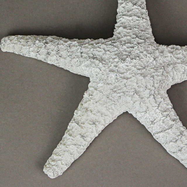 Set of 3 Resin Starfish Wall Hanging Sculptures Coastal Home Decor ...