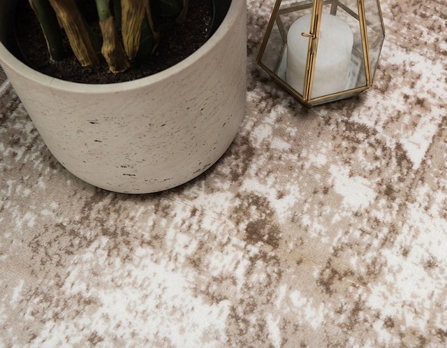 Transitional Sandrine Tan Area Rug, 4'x6' - Contemporary - Area Rugs ...