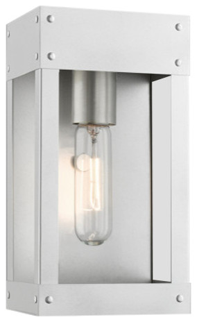 Barrett 1 Light Painted Satin Nickel Outdoor Wall Lantern ...