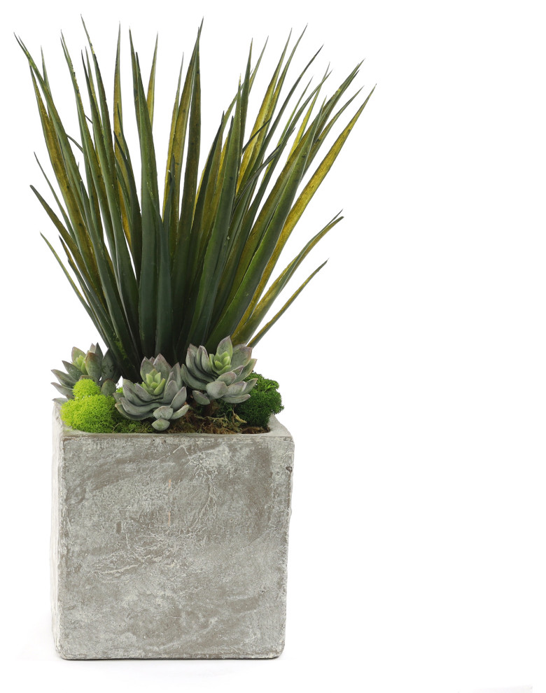 Gorgeous Faux Desert Yucca Plant in Modern Concrete Pot - Modern ...