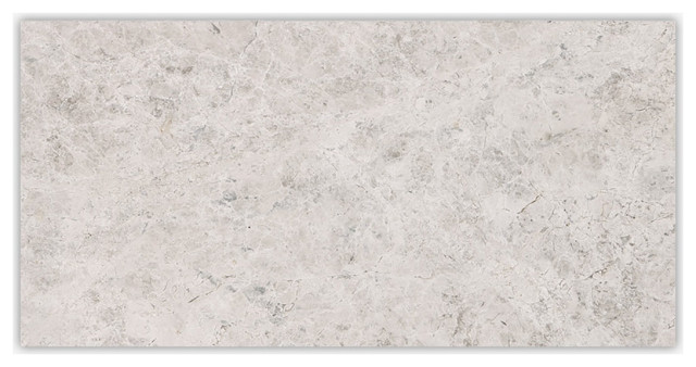 Tundra Gray Polished 12x24 Marble Tile, 12x24 - Traditional - Wall And ...