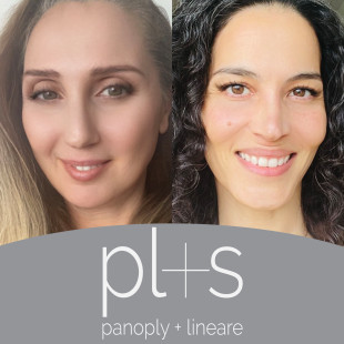 PANOPLY + LINEARE STUDIO - Project Photos & Reviews - Miami, FL US | Houzz