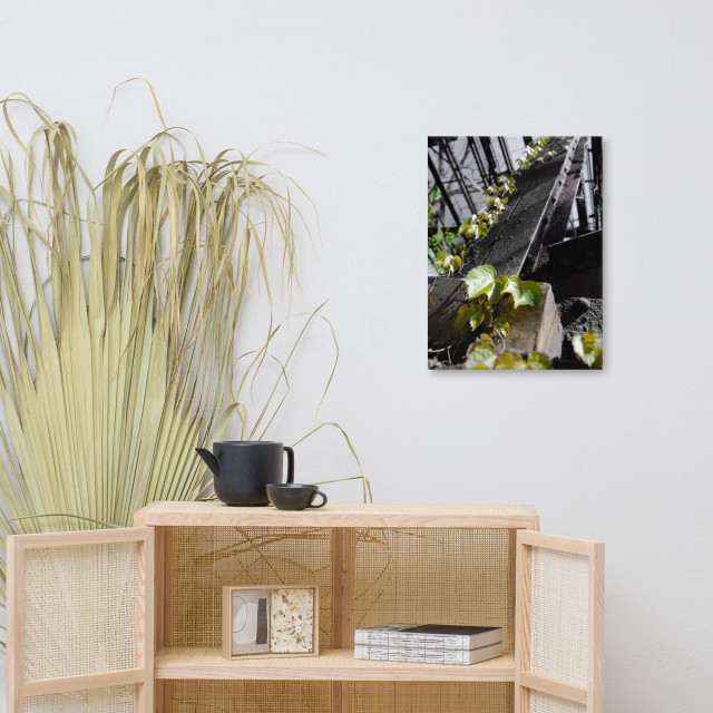 Nature Taking Over Nature Photography Canvas Wall Art Print, 18" X 24 ...