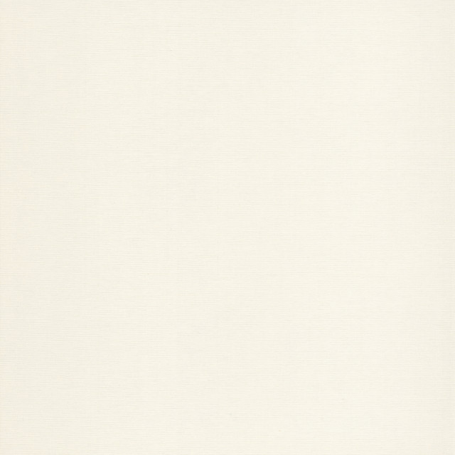 Hien White Grasscloth Wallpaper - Transitional - Wallpaper - by ...