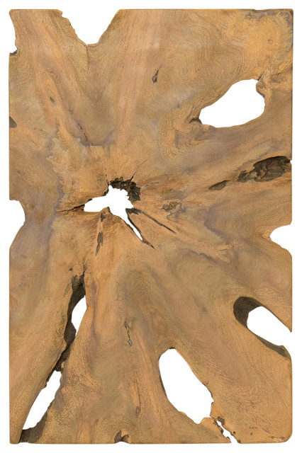 Sliced Teak Root Wall Art - Rustic - Wall Accents - by Best Home ...
