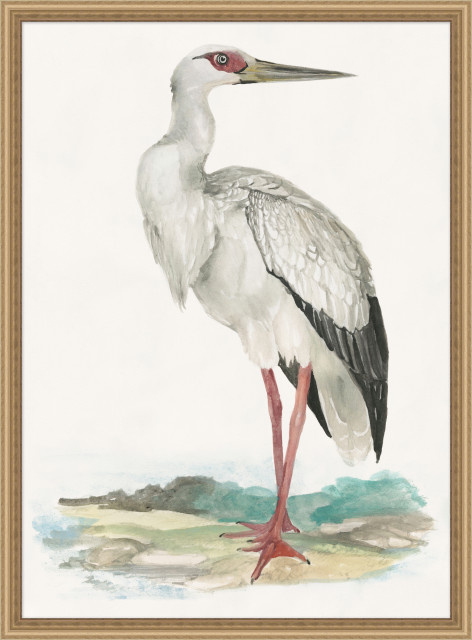 Waterbird 1, Giclee Reproduction Artwork, 39.25x53.25 - Traditional ...
