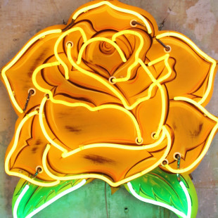 ROADHOUSE RELICS - Project Photos & Reviews - Austin, TX US | Houzz