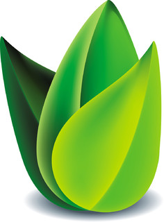 LANDSCAPE-FUSION - Project Photos & Reviews - Tampa, FL US | Houzz