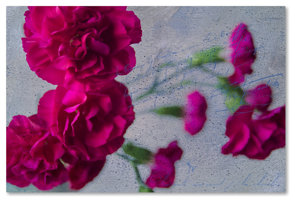 Bob Rouse 'Vibrant Carnations' Canvas Art, 22"x32" - Contemporary ...