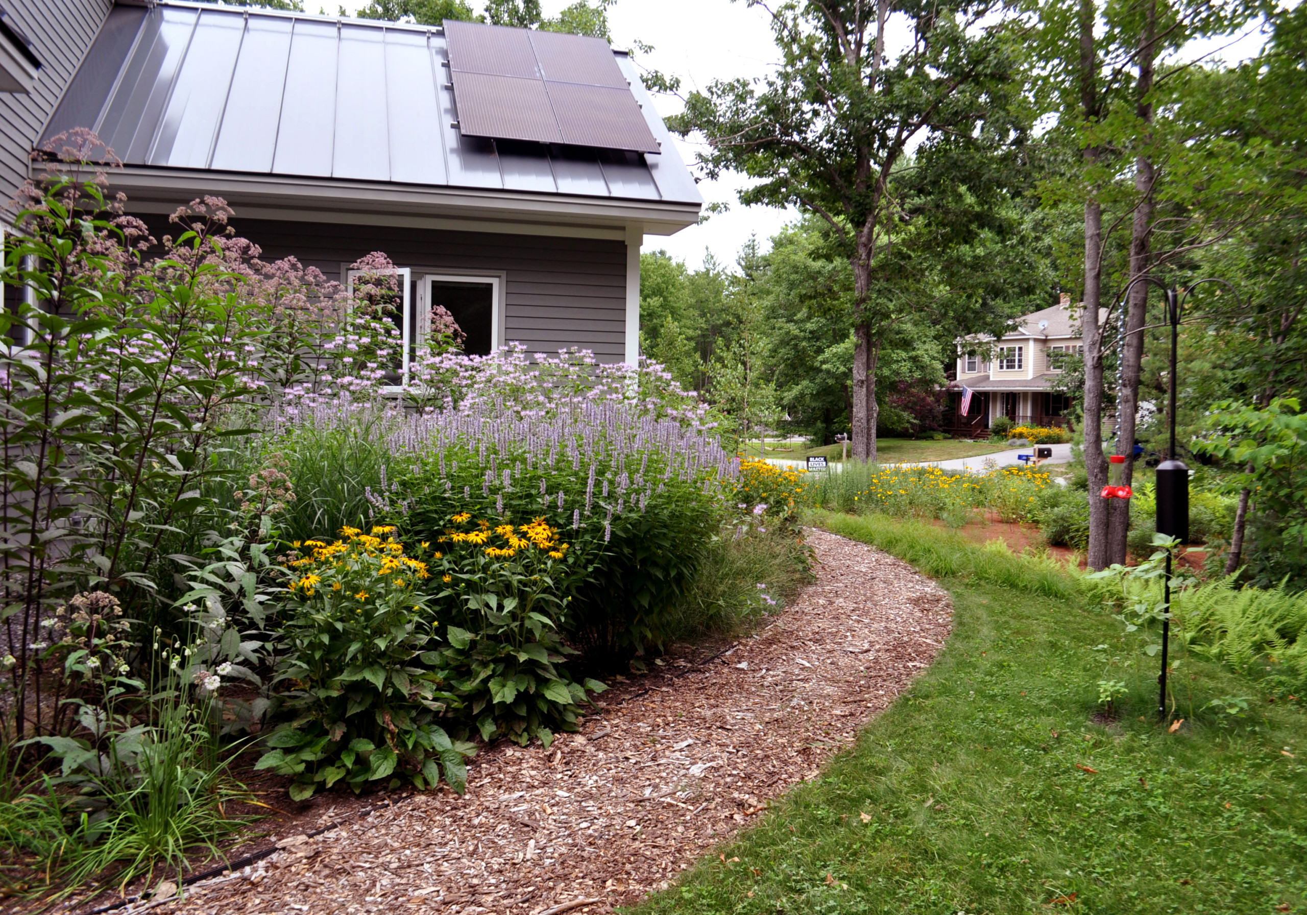 How to Design a Healing Garden at Home