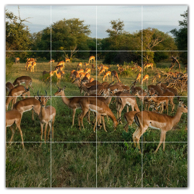 Deer Ceramic Tile Wall Mural HZ500453, 32" Wide x 32" High - Rustic ...