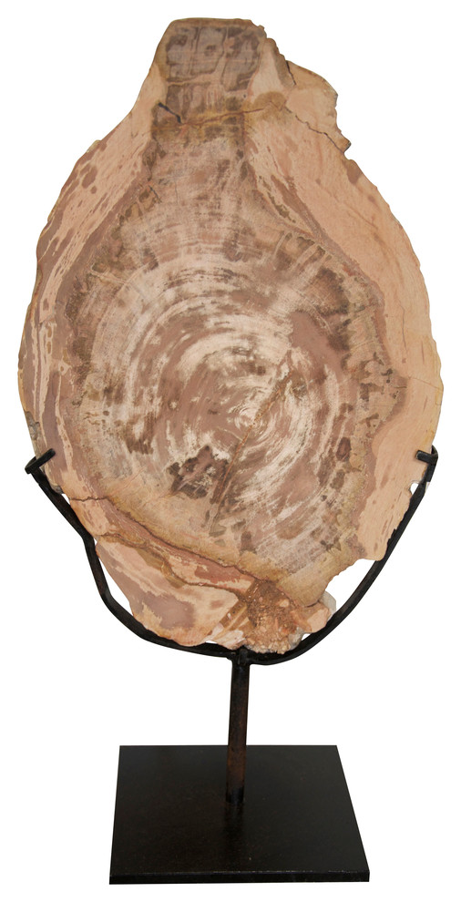 Wood Fossil Decoration, 12" - Rustic - Decorative Objects And Figurines ...