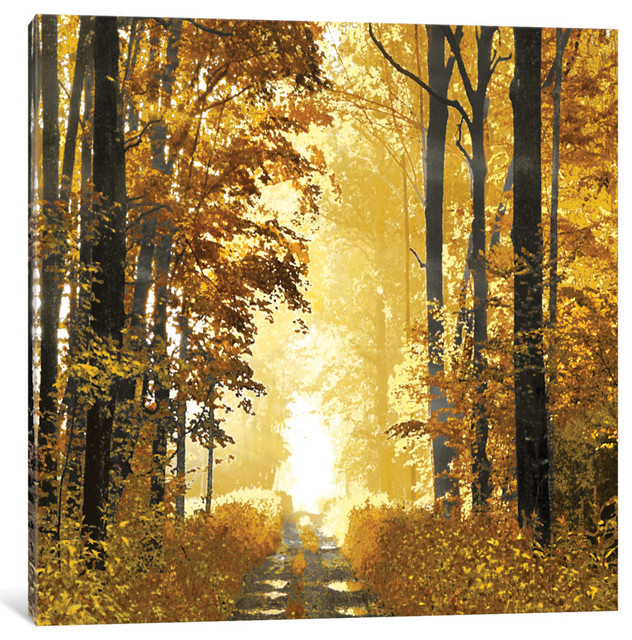 "Sunlit Forest I" by Derek Scott, Canvas Print, 12x12x1.5 ...