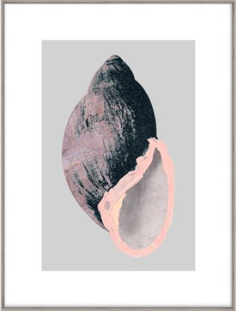 Victorian Shells 2 - Beach Style - Paintings - by HedgeApple | Houzz