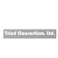 TRIAD CONSORTIUM LIMITED - Project Photos & Reviews - Chicago, IL US ...