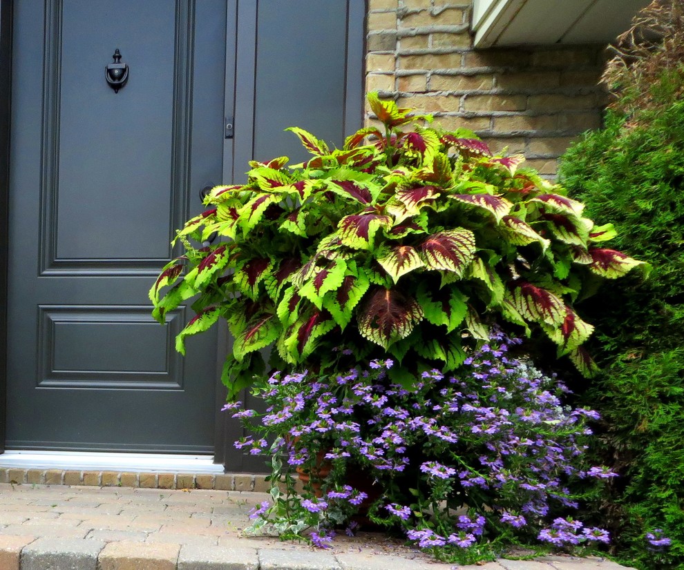 How to Plant a Beautiful, Thriving Window Box Garden