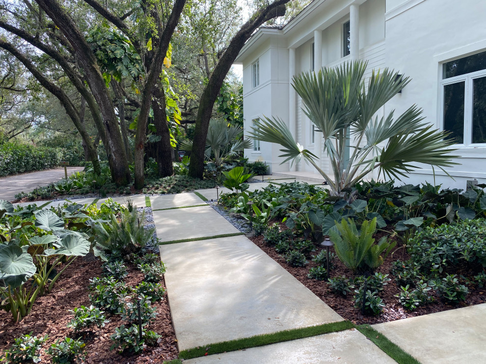 Pinecrest - Contemporary - Landscape - Miami - by Plantaysia, Inc. | Houzz