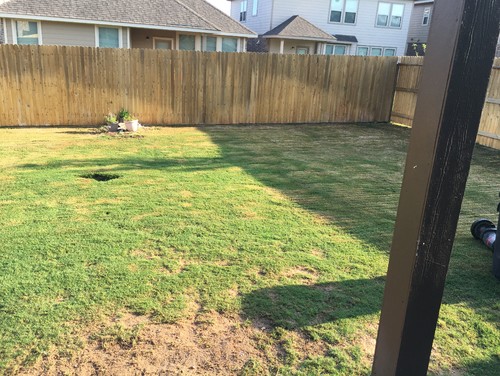 2016 Lawn Leveling with Sand