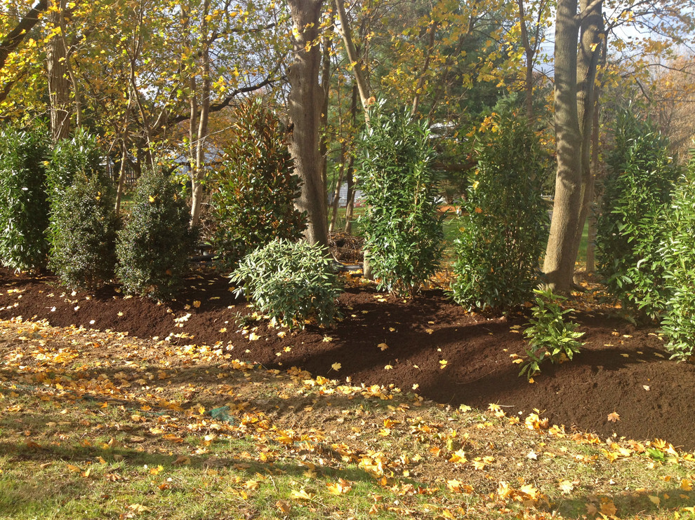 Landscape Buffer Planting - Landscape - Other - by C.E. Pontz Sons