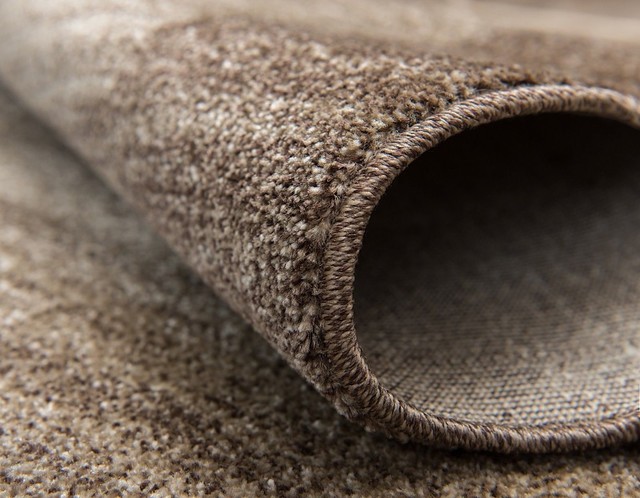 Contemporary Desdemona Chocolate Area Rug, 3'3"x5'3" - Contemporary ...