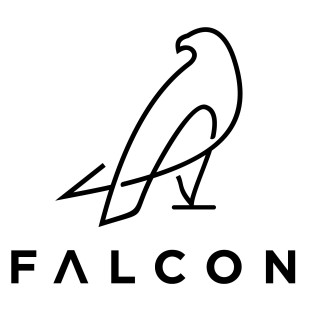 G JOSEPH FALCON - Project Photos & Reviews - LAS VEGAS, NV US | Houzz